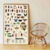 Poster Insectes pour enfants | Apprendre en s'amusant | Poppik Stickers
