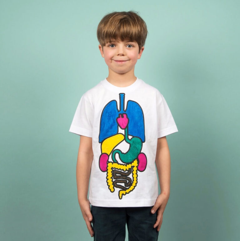 Science game - Anatomy kit coloring tee-shirt - organs (6 years old ...